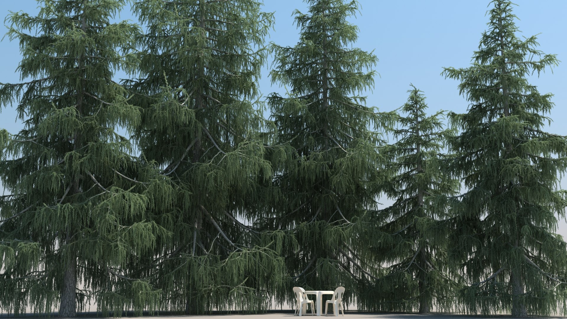 5 Cedar Tree 3D - TurboSquid 1583646