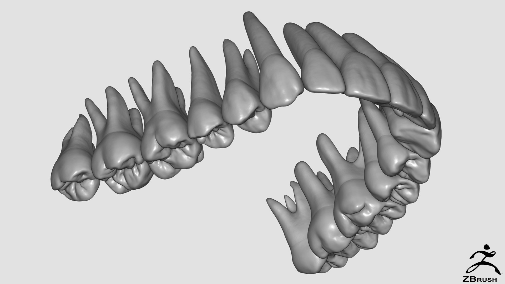 3D Teeth Model - TurboSquid 1758247