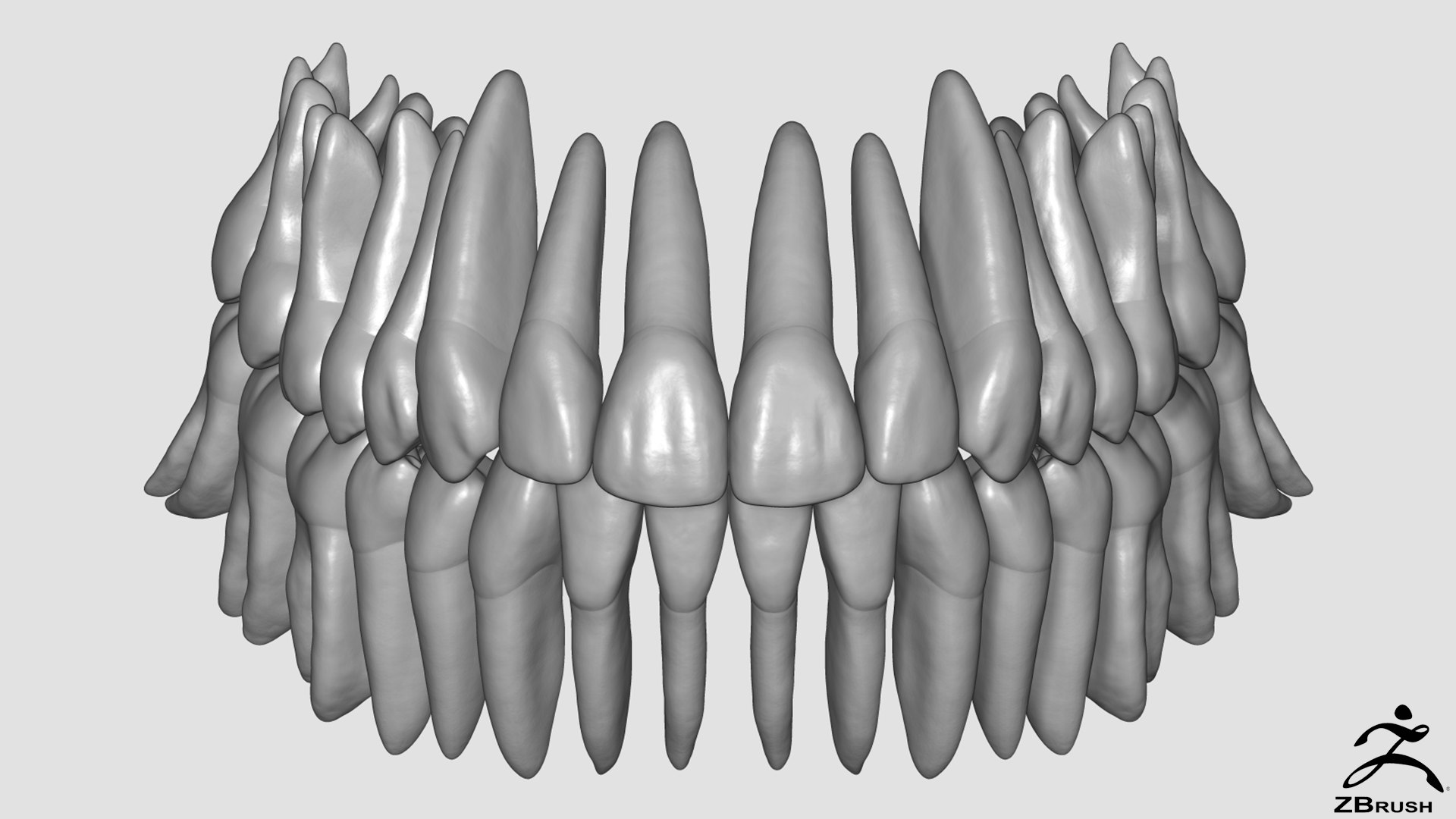 3D Teeth Model - TurboSquid 1758247