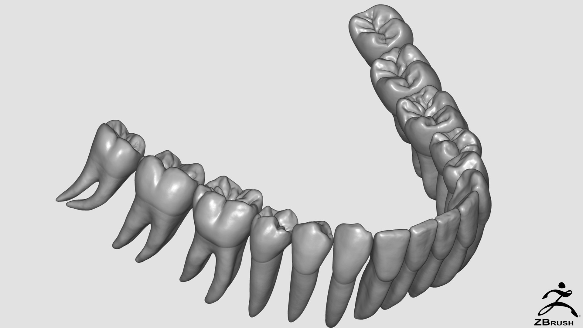 3D Teeth Model - TurboSquid 1758247