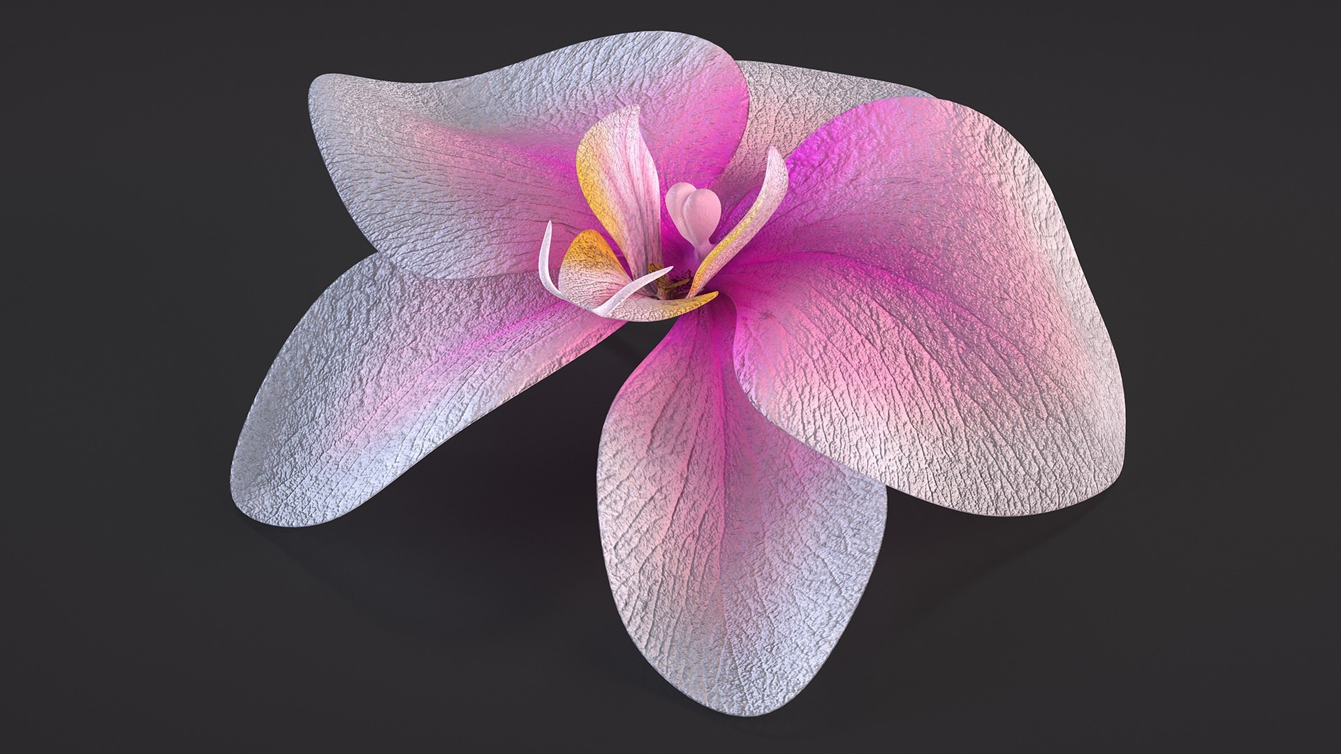 Orchid Flower 3D - TurboSquid 2079659