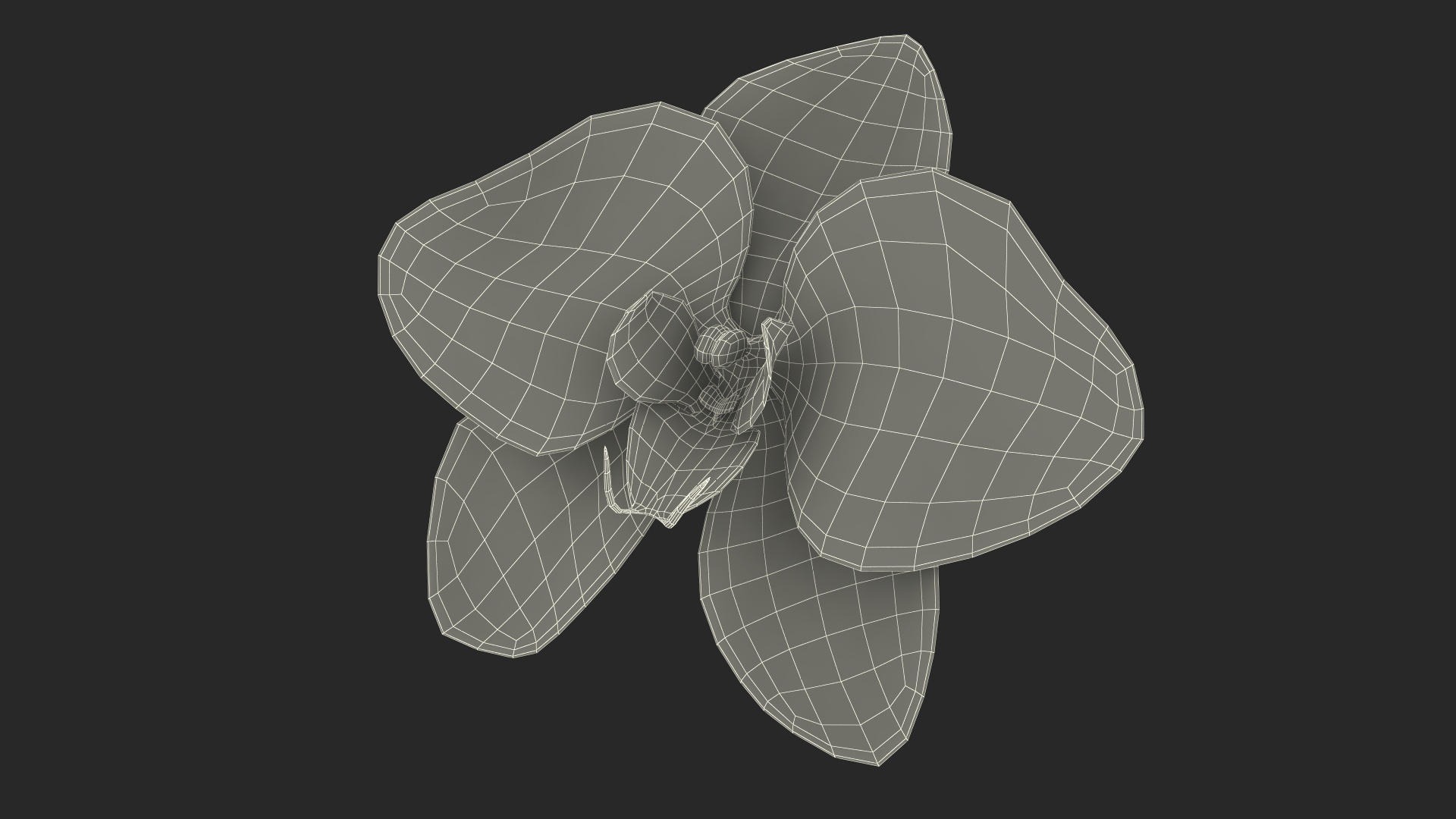 Orchid Flower 3D - TurboSquid 2079659