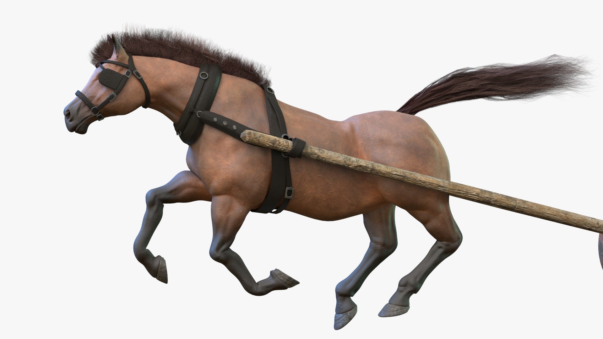 Dray with Horse Rigged 3D - TurboSquid 1740770
