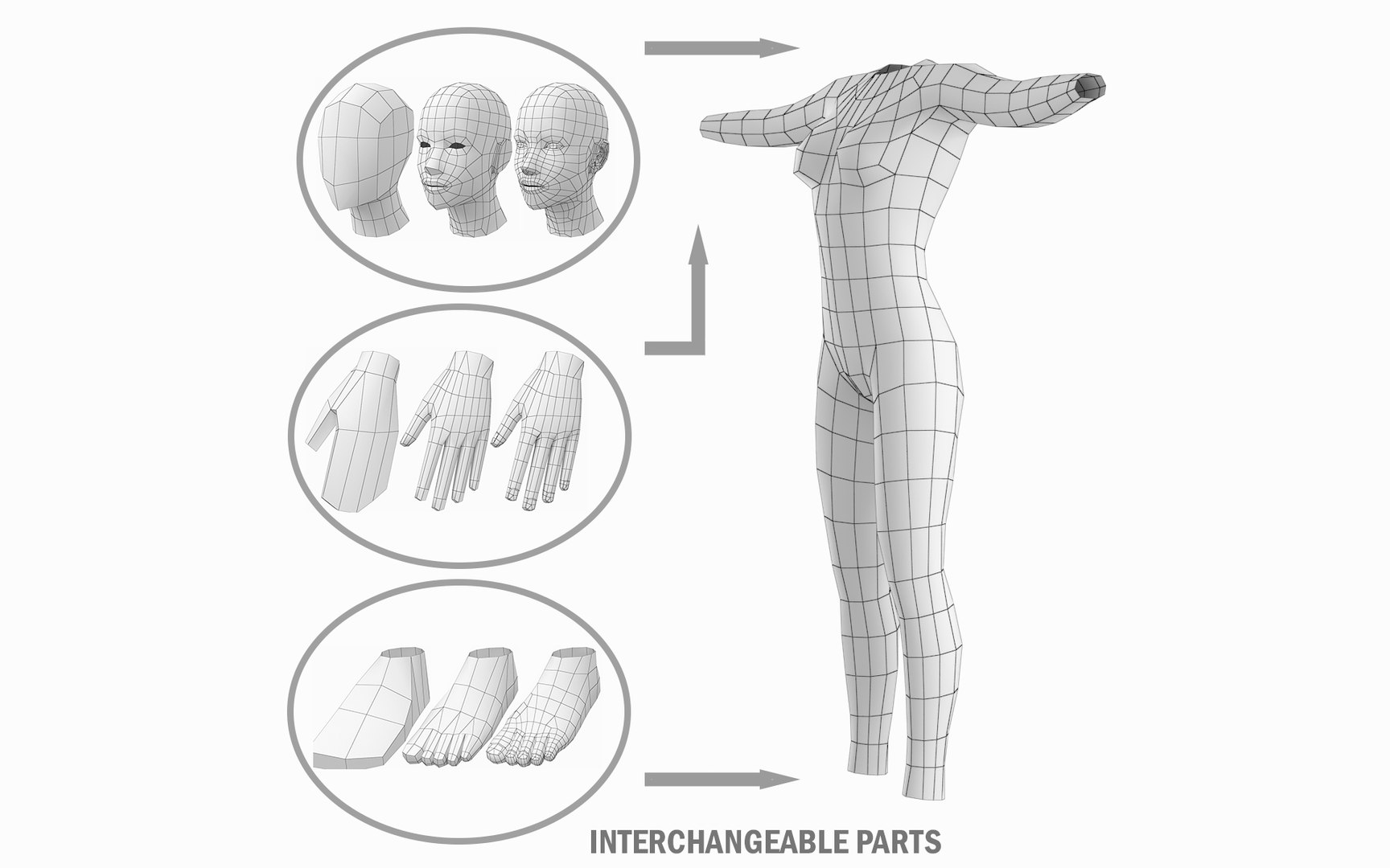 3D Model Natural Female In T-Pose Base Mesh - TurboSquid 2072007