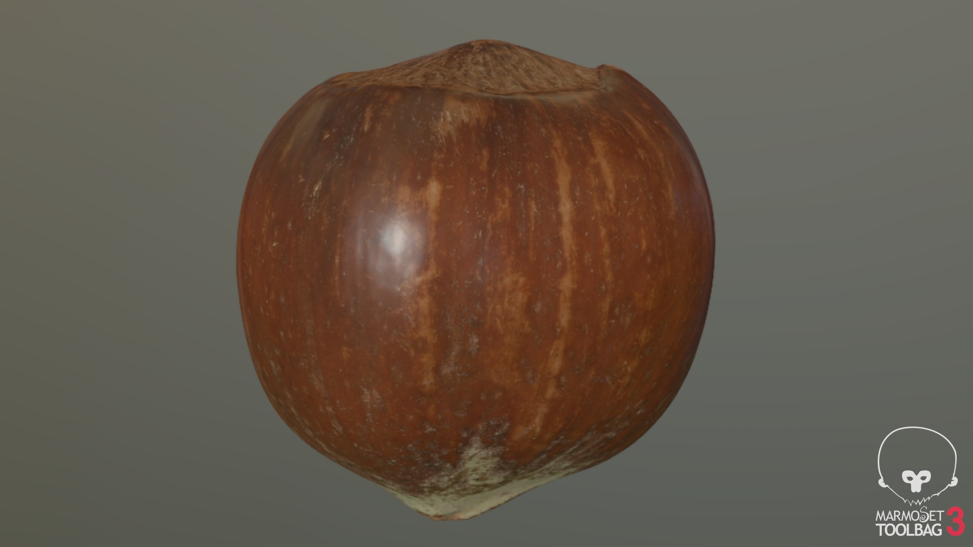 Hazelnut 3D Model - TurboSquid 1828886