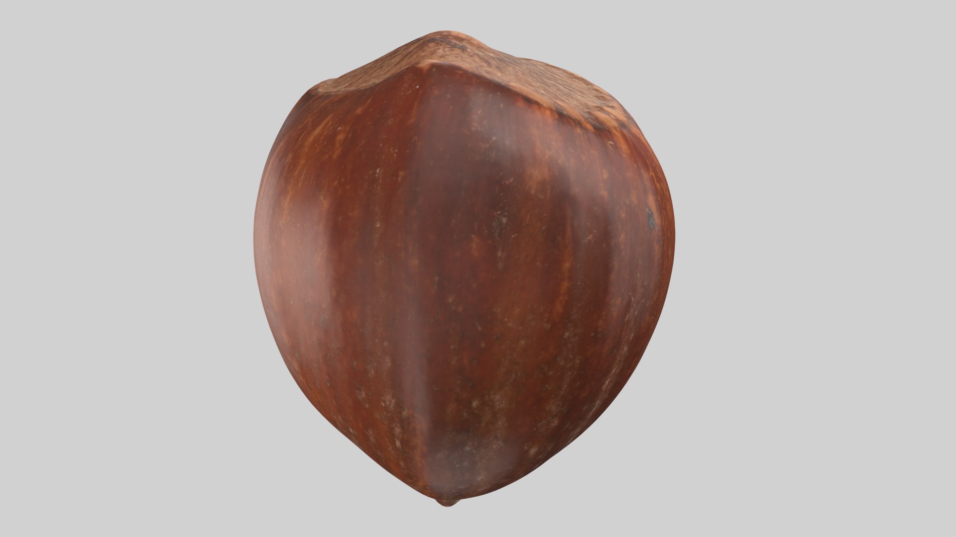 Hazelnut 3D Model - TurboSquid 1828886