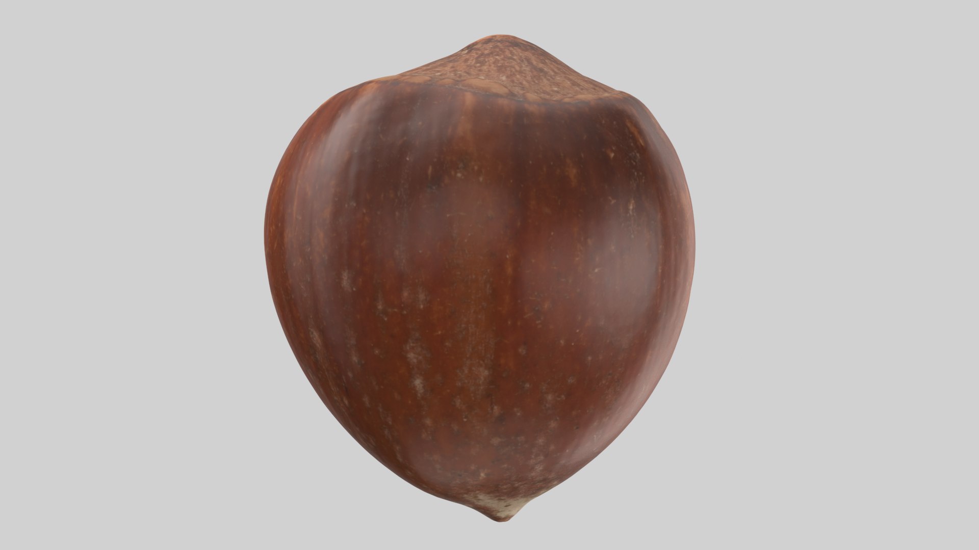 Hazelnut 3D Model - TurboSquid 1828886