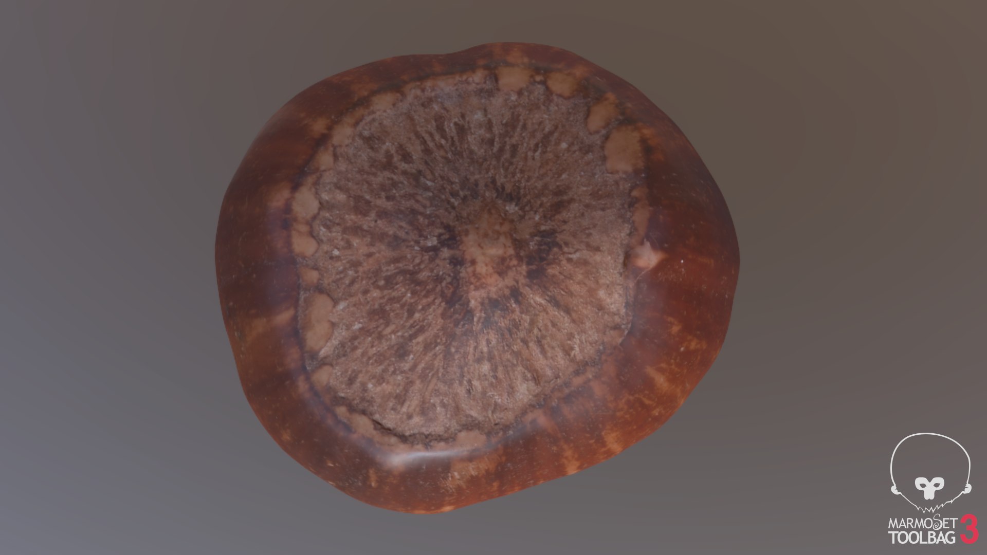 Hazelnut 3D Model - TurboSquid 1828886