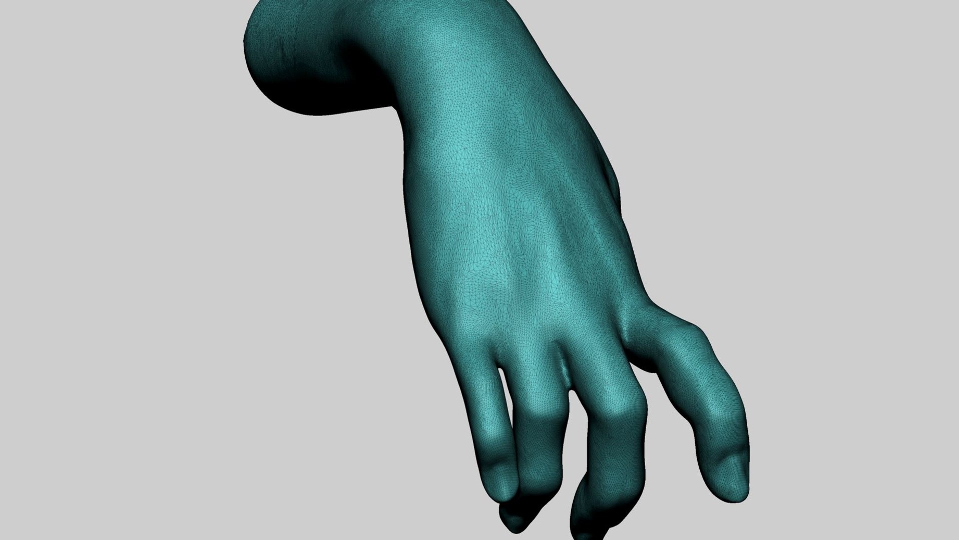 Female Hand V2 Printable 3D Model - TurboSquid 1891913