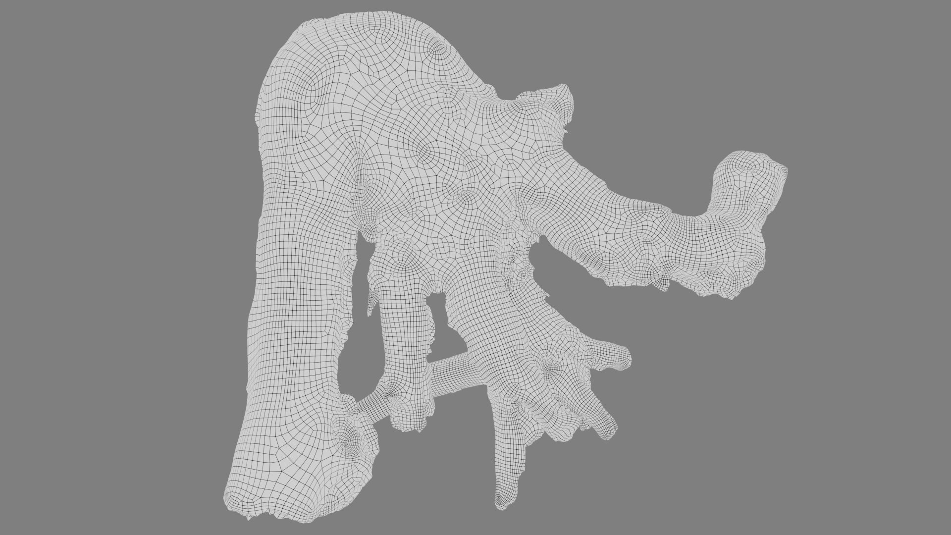 Grapevine Bark 3D Scanned 11 3D Model - TurboSquid 1963758