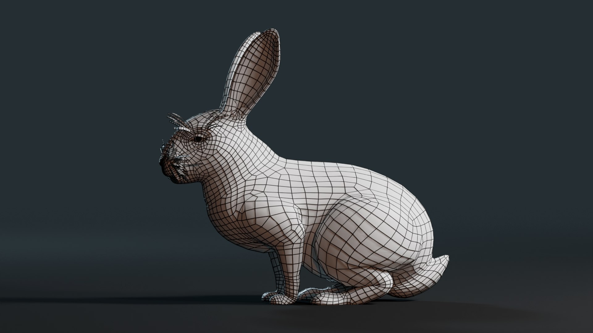 3D Realistic Rabbit Model - TurboSquid 2106382