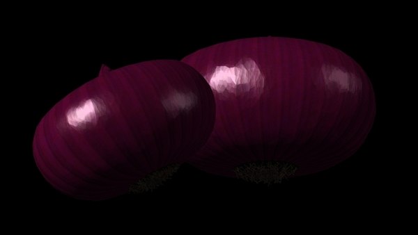 3d red onion model