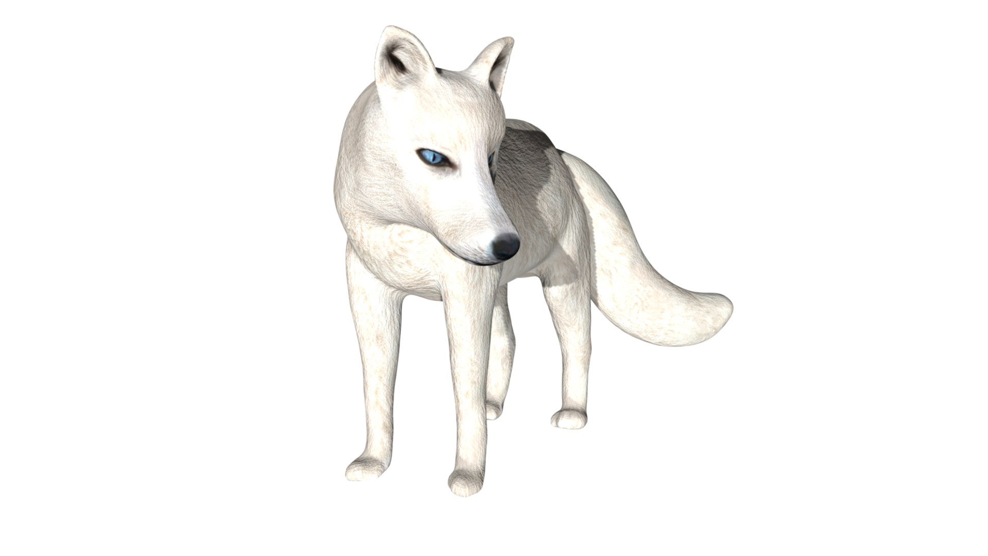 3D Rigged Low Poly Arctic Fox - TurboSquid 1755004