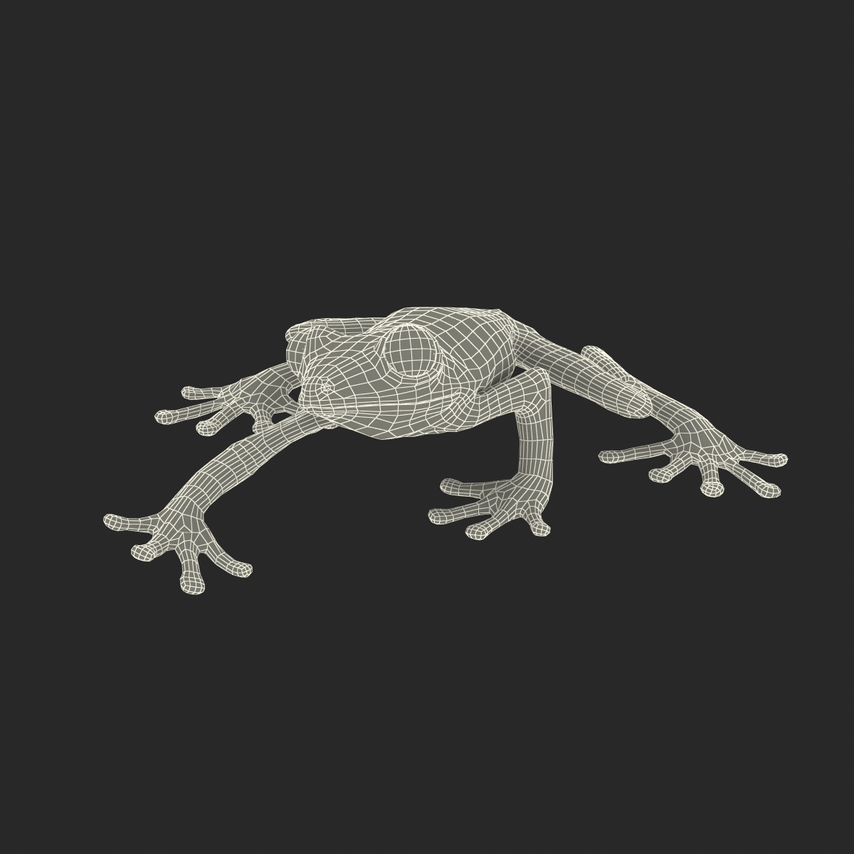 red eyed tree frog 3d model