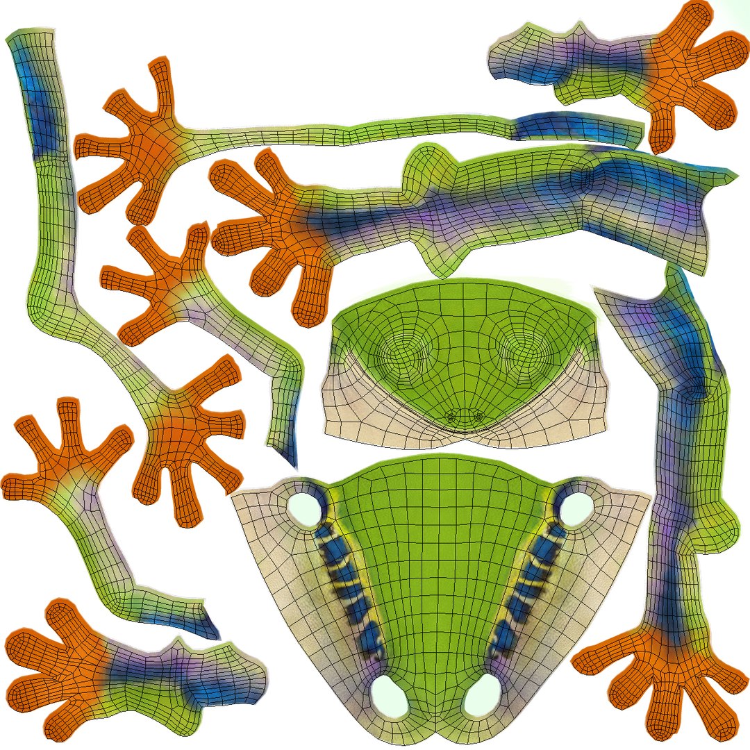 Red Eyed Tree Frog 3d Model