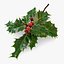 mistletoe holly sprig