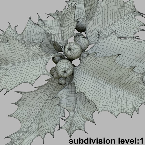 mistletoe holly sprig