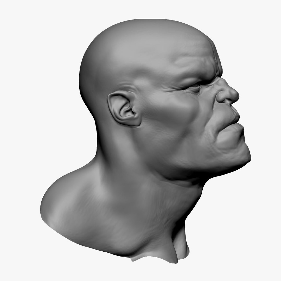 Stylized Male Head B 3D - TurboSquid 1937886