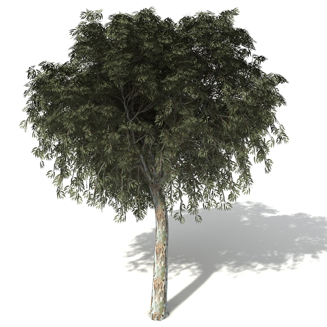 3d Model 3 Oceania Trees Xfrogplants