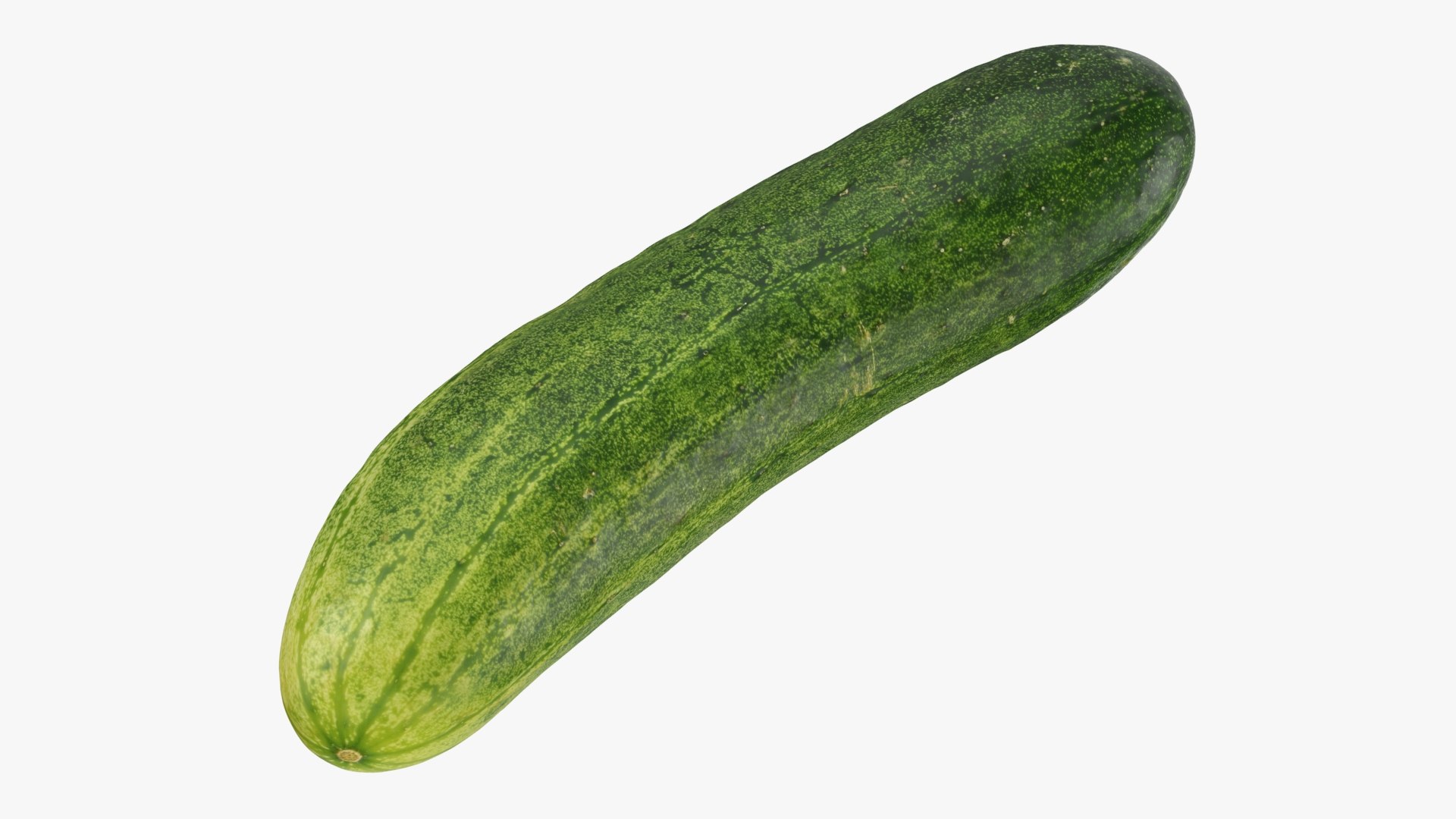 3D Cucumber 02 - TurboSquid 2365395