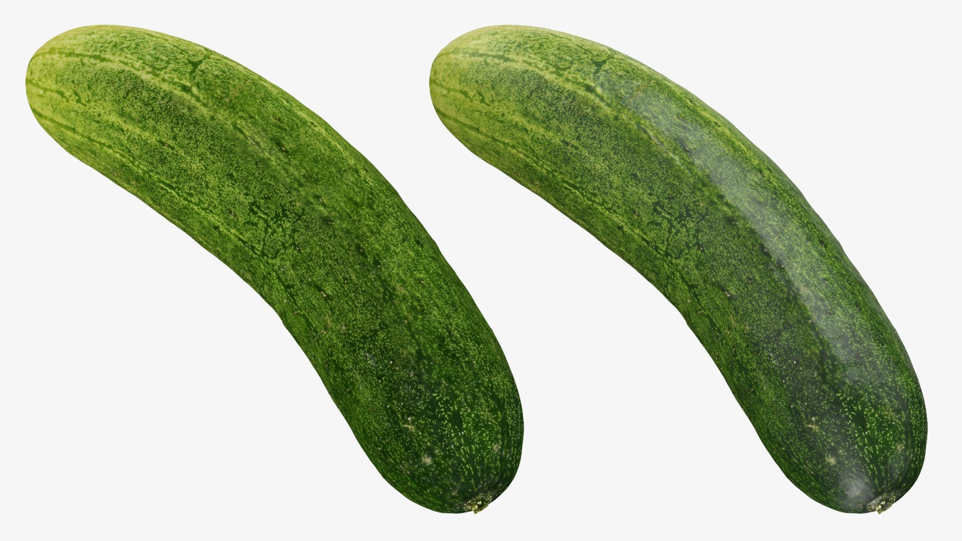 3D Cucumber 02 - TurboSquid 2365395