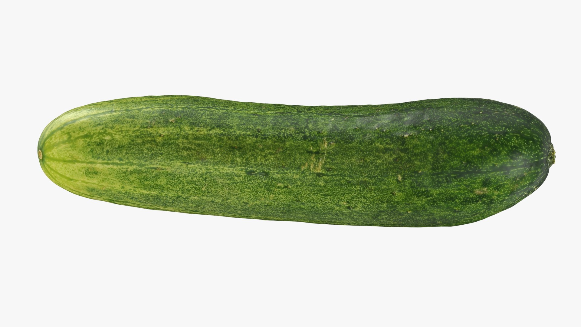 3D Cucumber 02 - TurboSquid 2365395
