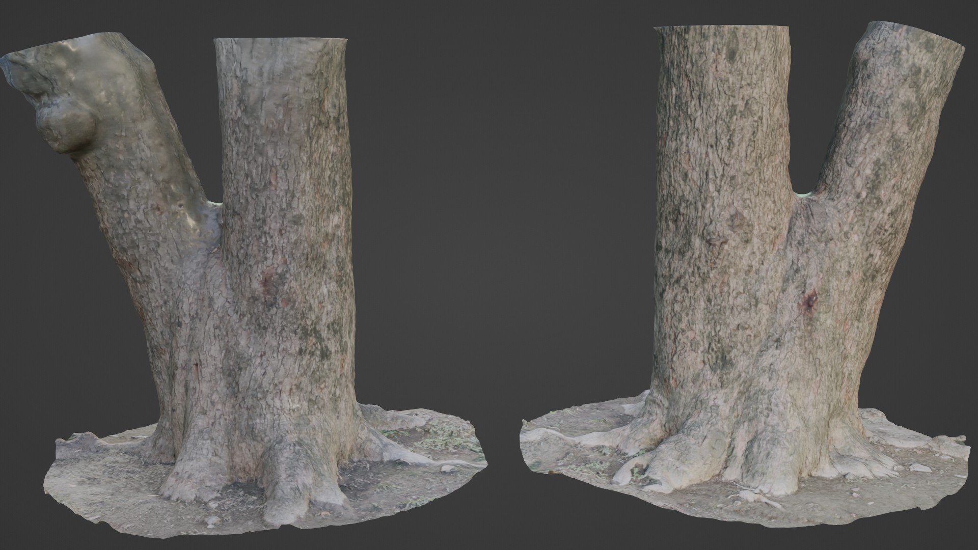 Spliot Tree Trunks 3D Model - TurboSquid 2329658