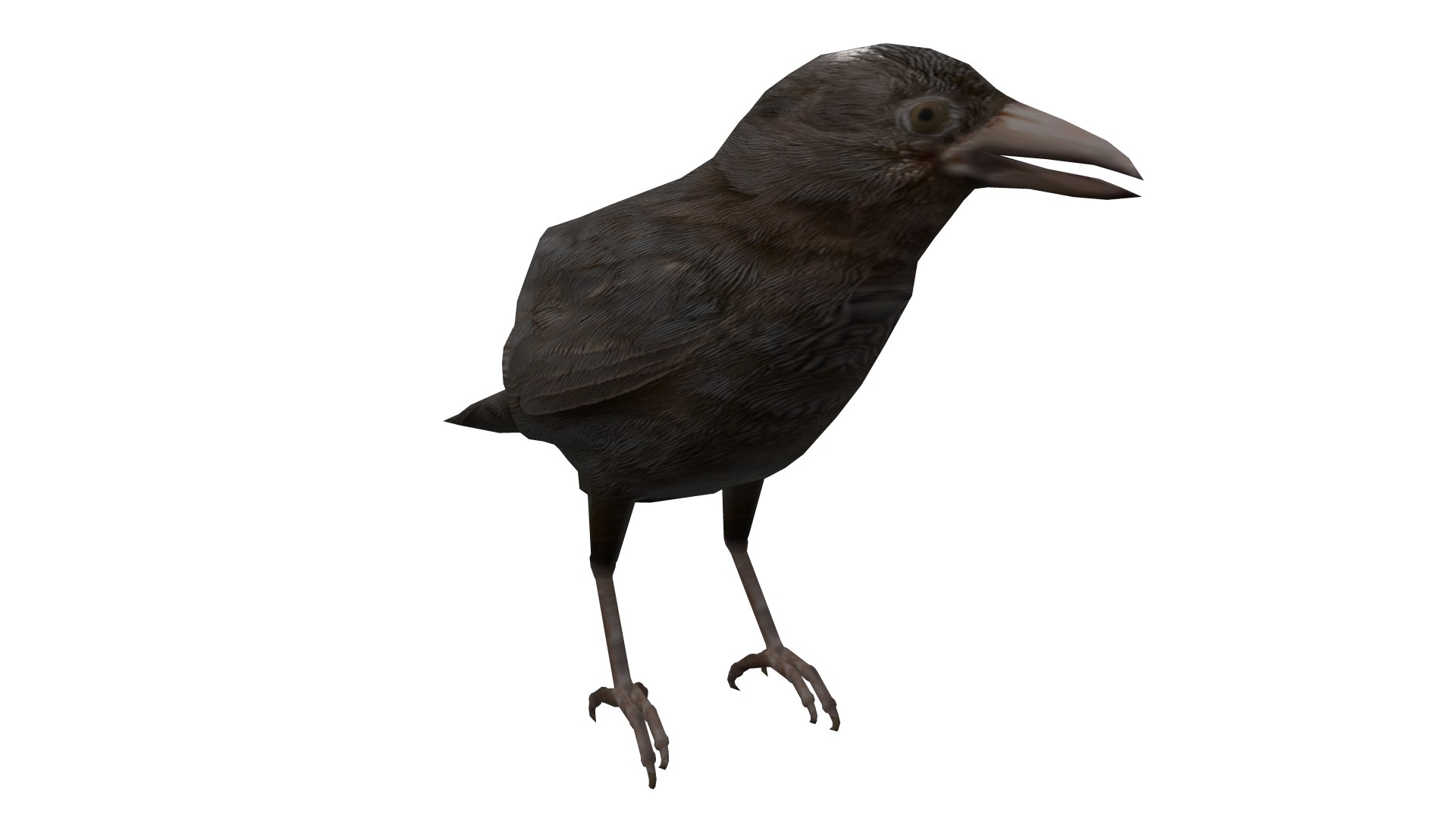 3D Animated Crows Model - TurboSquid 2466855