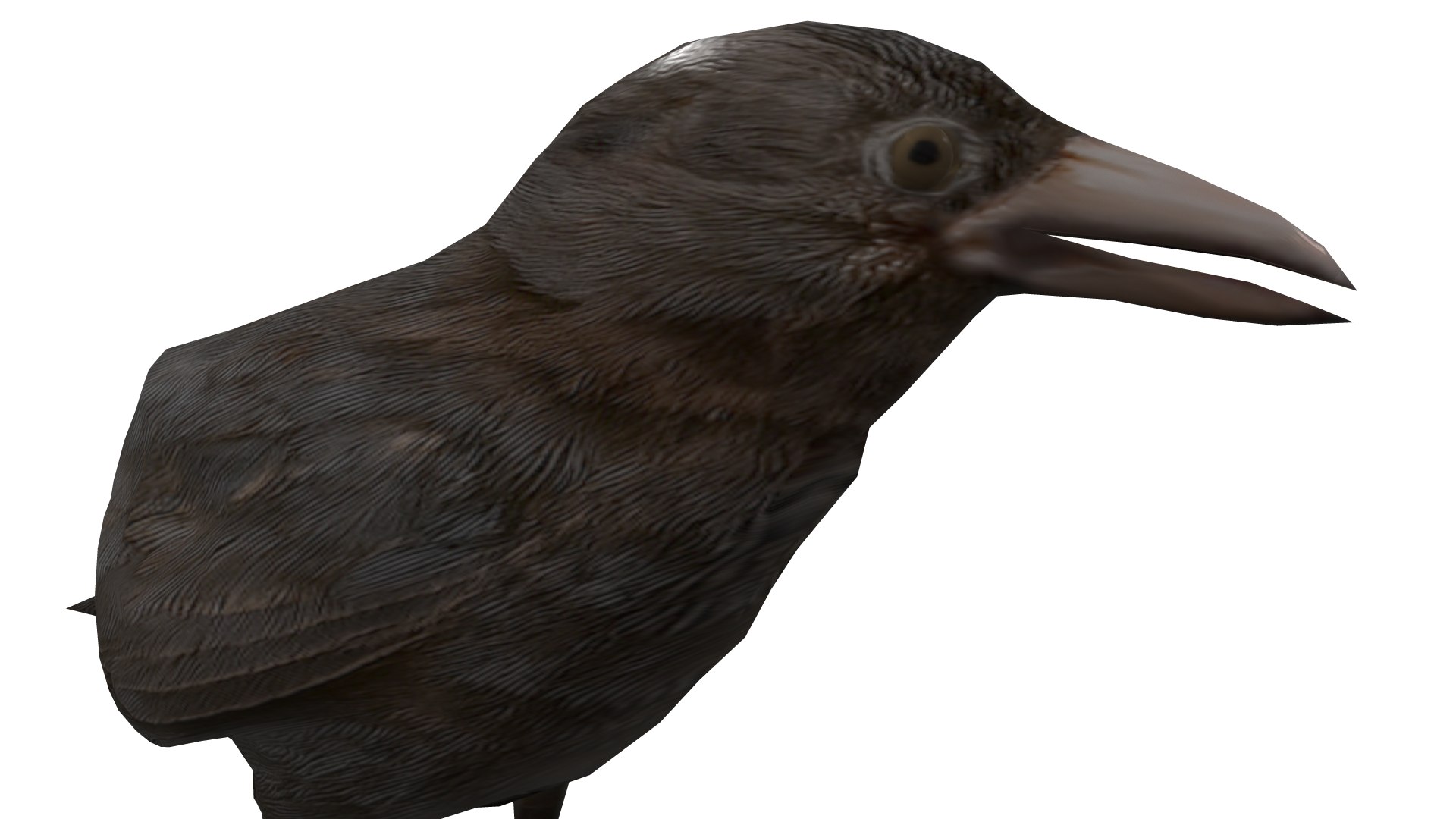 3D Animated Crows Model - TurboSquid 2466855