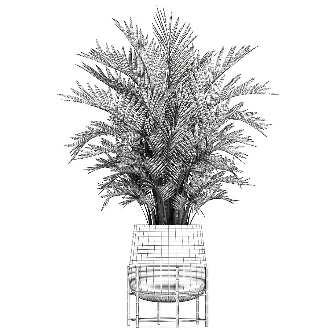 Decorative palm 3D model - TurboSquid 1636805