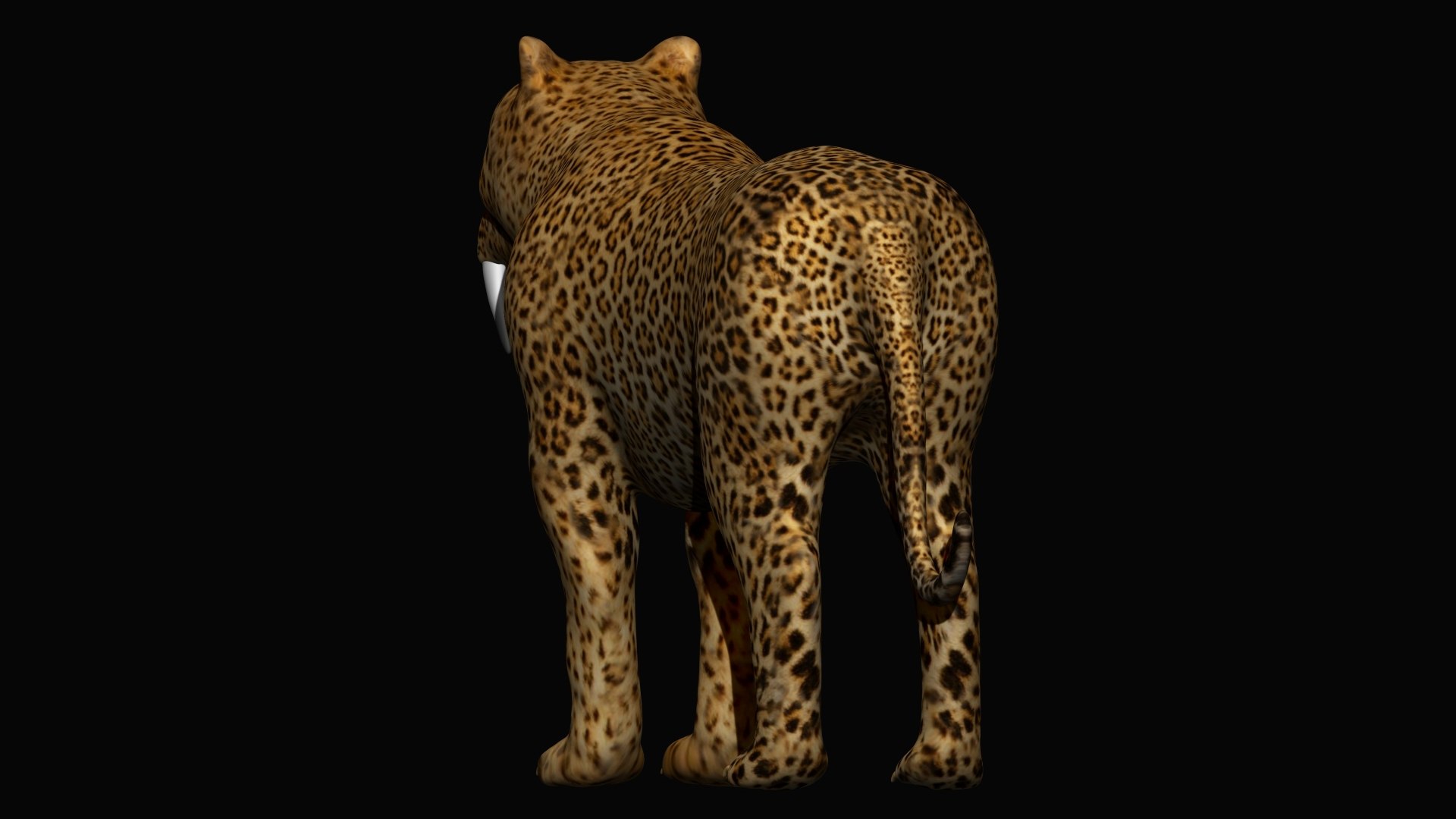 Fully Rigged Saber Tooth Tiger Model - TurboSquid 1692461