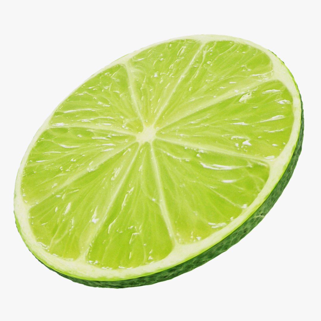 Lime round slice 2 3D model - TurboSquid 1878778