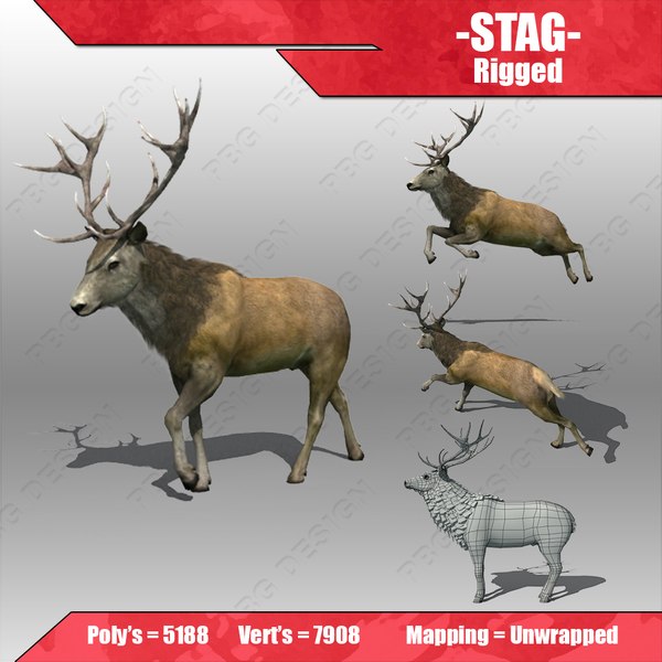 3d red deer stag fur model
