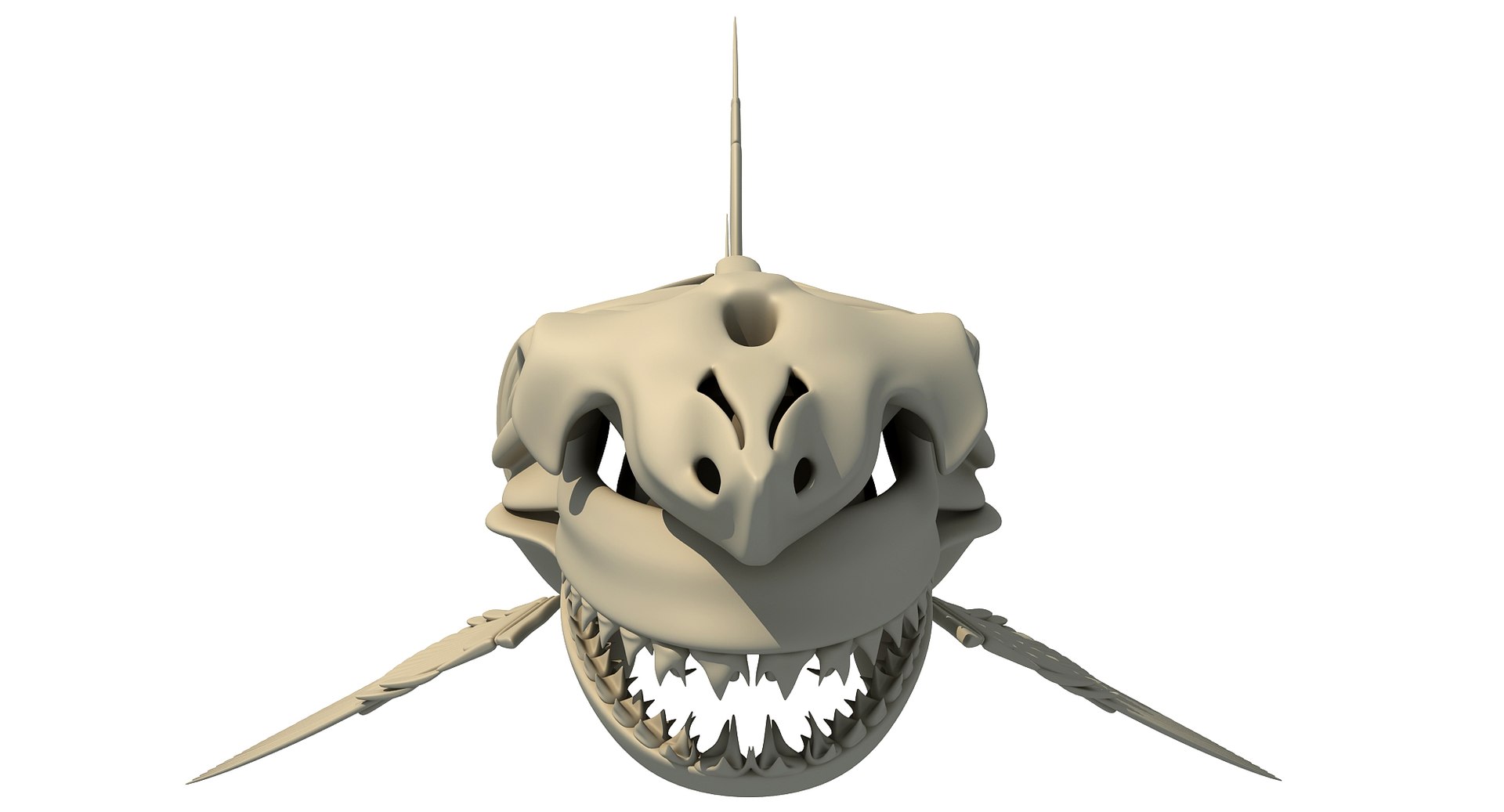 3D Model Sharks Skeleton - TurboSquid 1238799