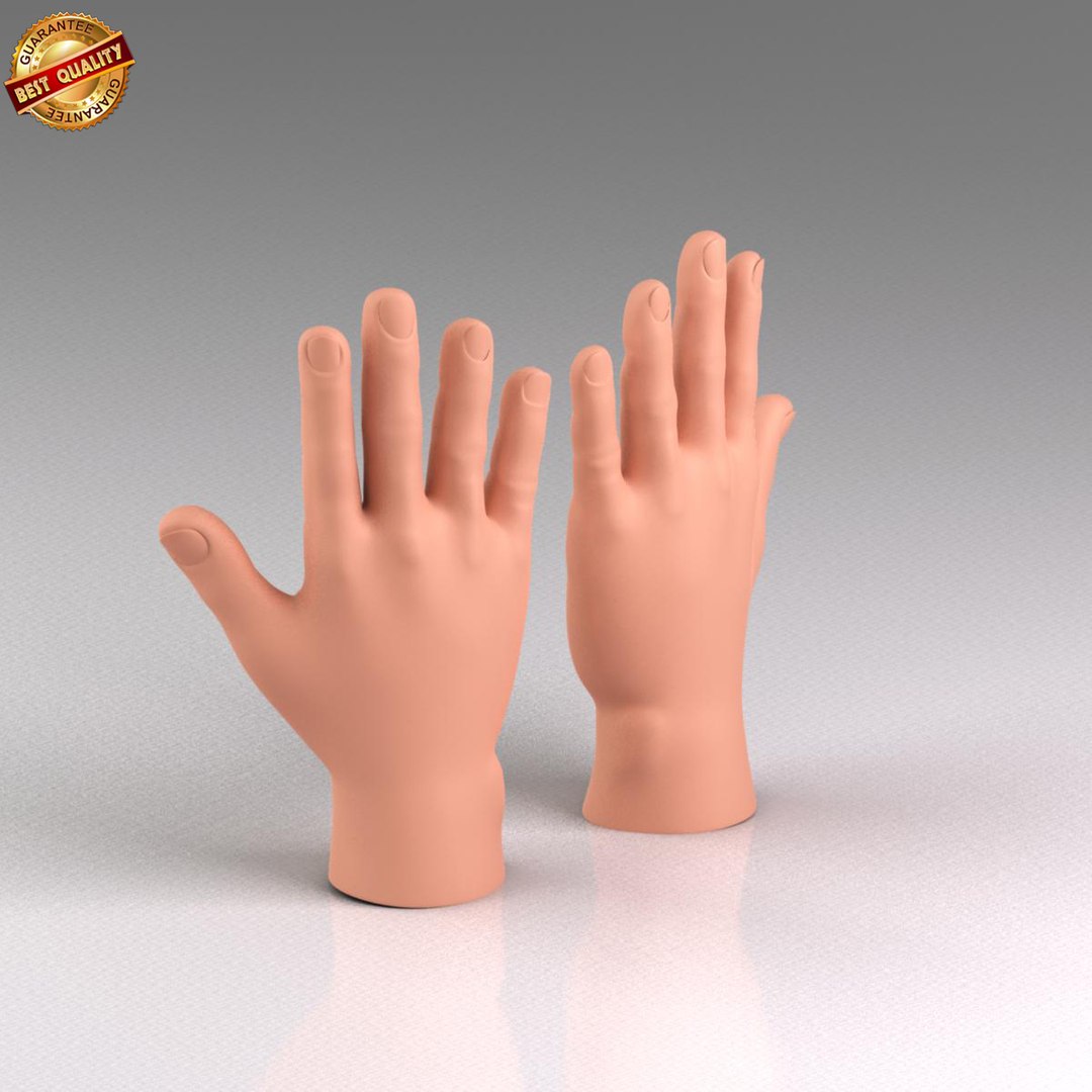 3d Model Of Modeled Anatomy Medical