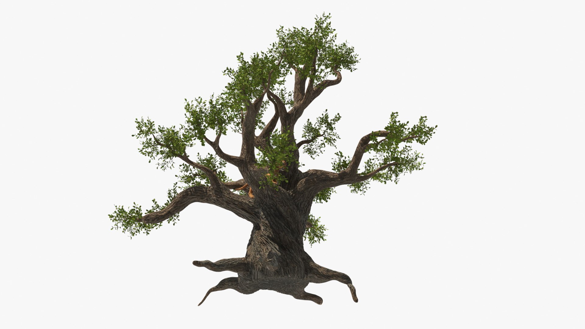 3D Model Puma Cub On Ancient Twisted Tree - TurboSquid 2349717