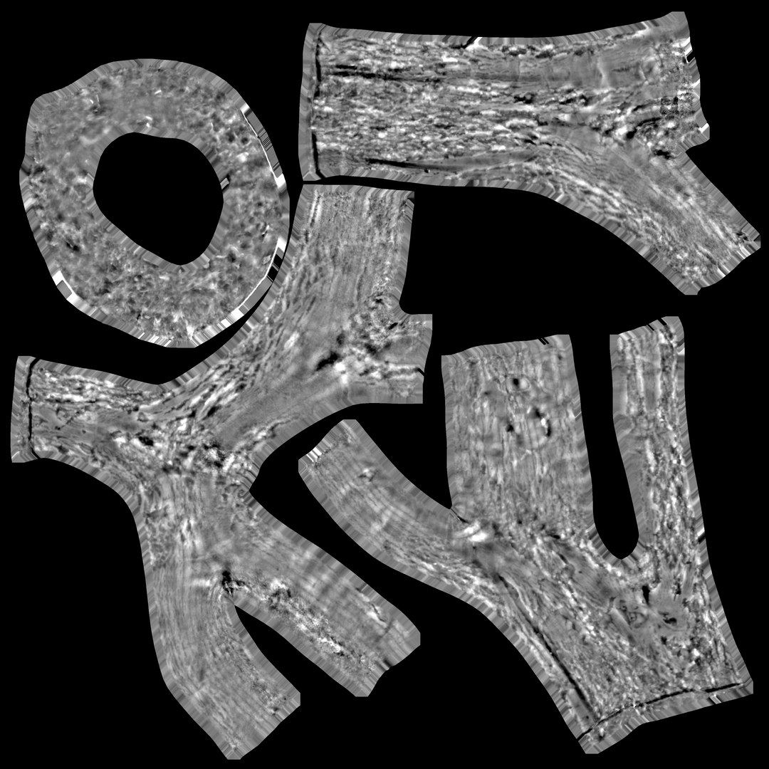 Tree Trunk - 3D Model - TurboSquid 1448077