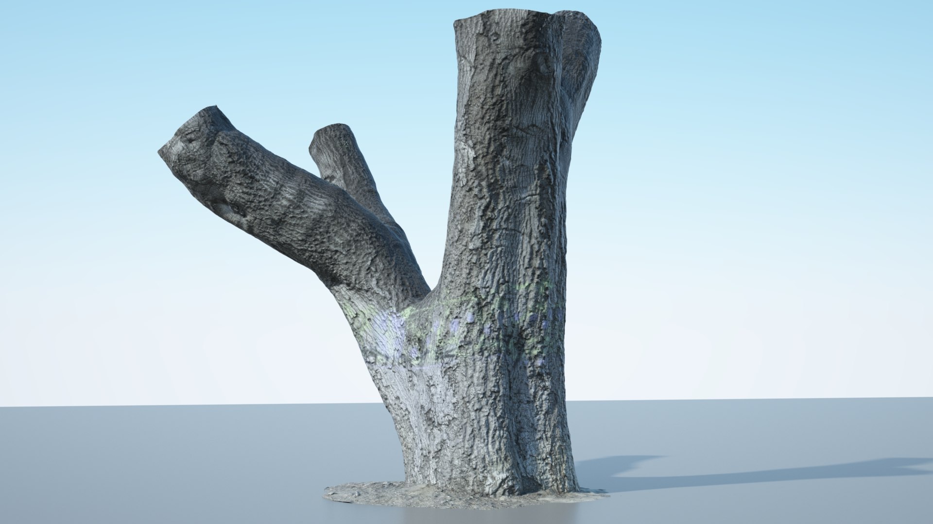 Tree Trunk - 3D Model - TurboSquid 1448077