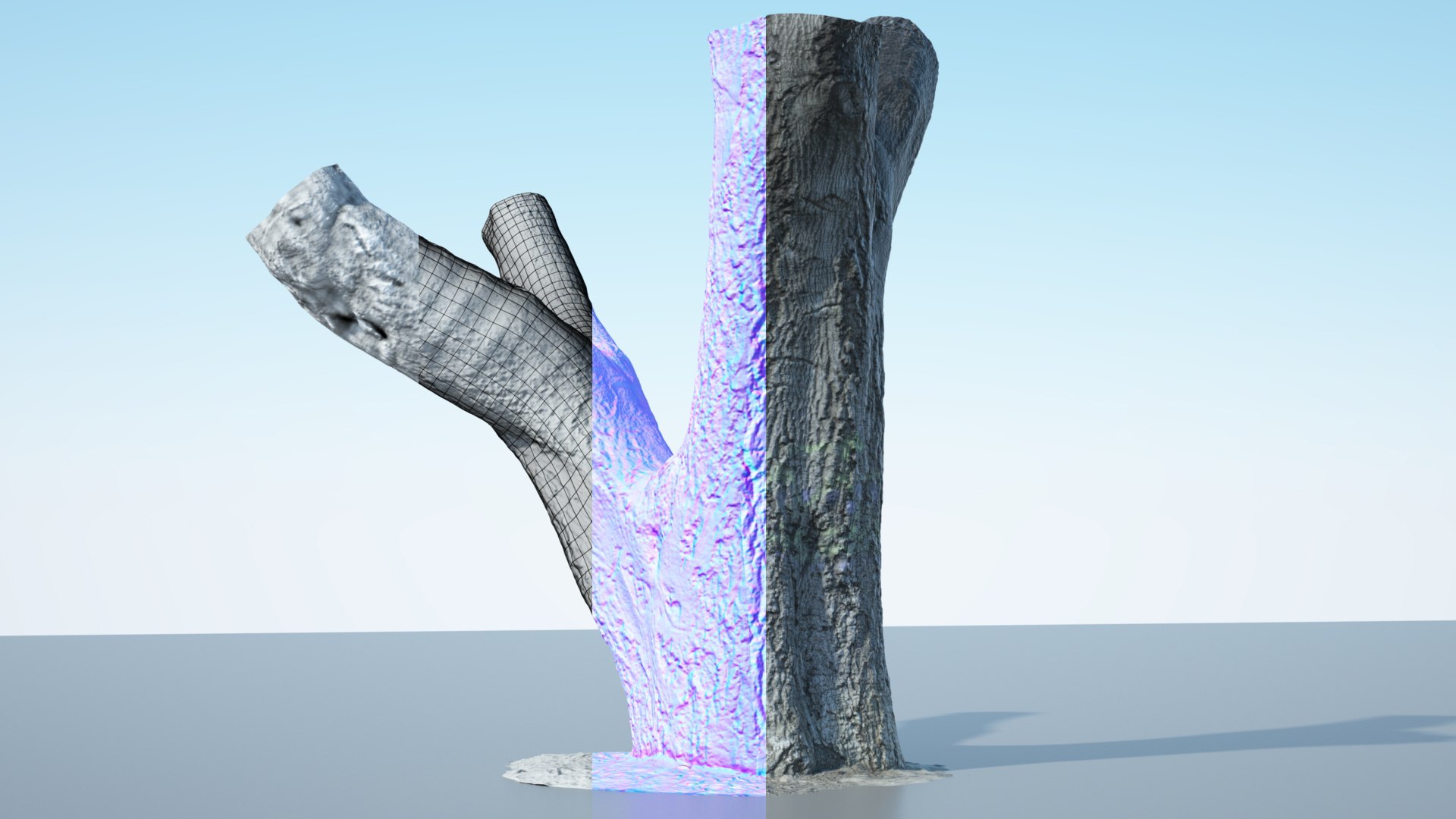 Tree Trunk - 3D Model - TurboSquid 1448077