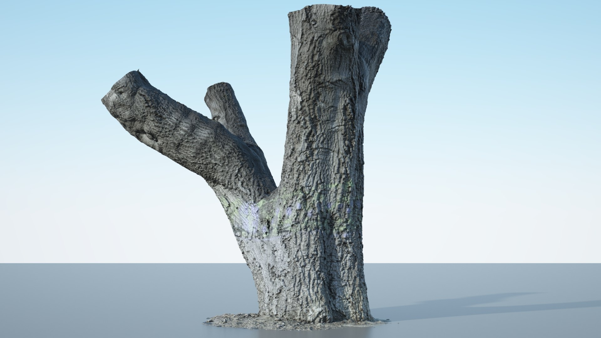 Tree Trunk - 3D Model - TurboSquid 1448077