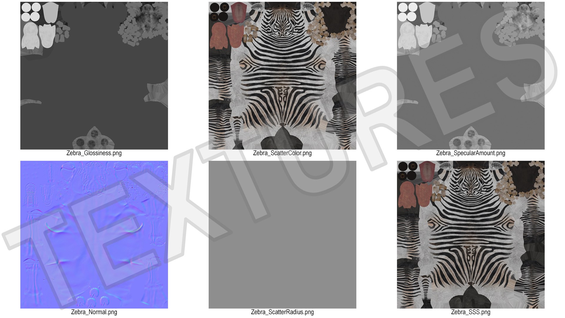 Plains Zebra Foal Rigged Fur 3D Model - TurboSquid 2366204