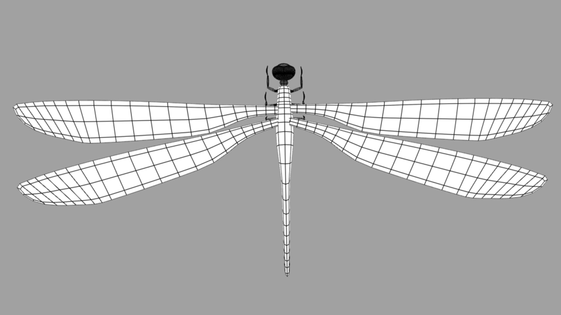 3D Dragonfly Fly Dragon - TurboSquid 1394155