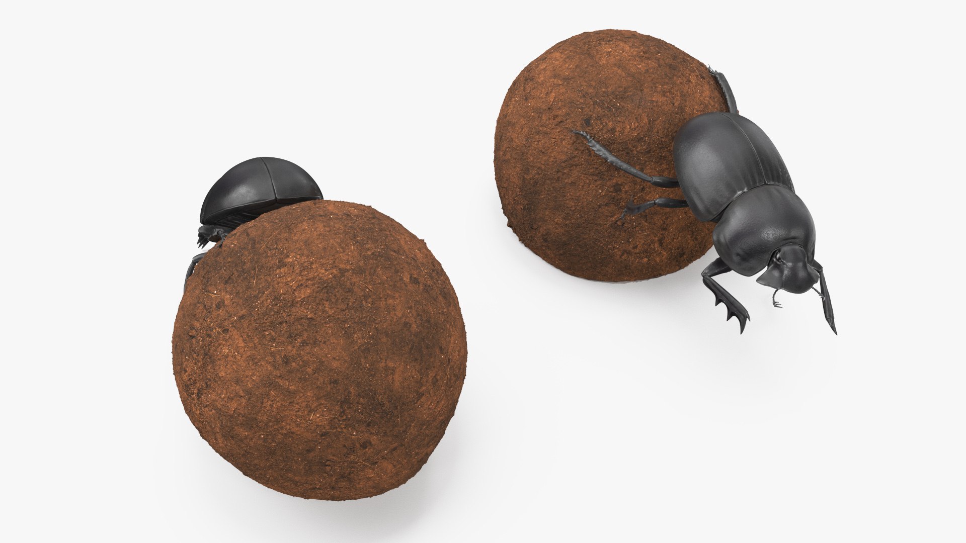 Manure Roller Pushing Sphere 3D Model - TurboSquid 2297406