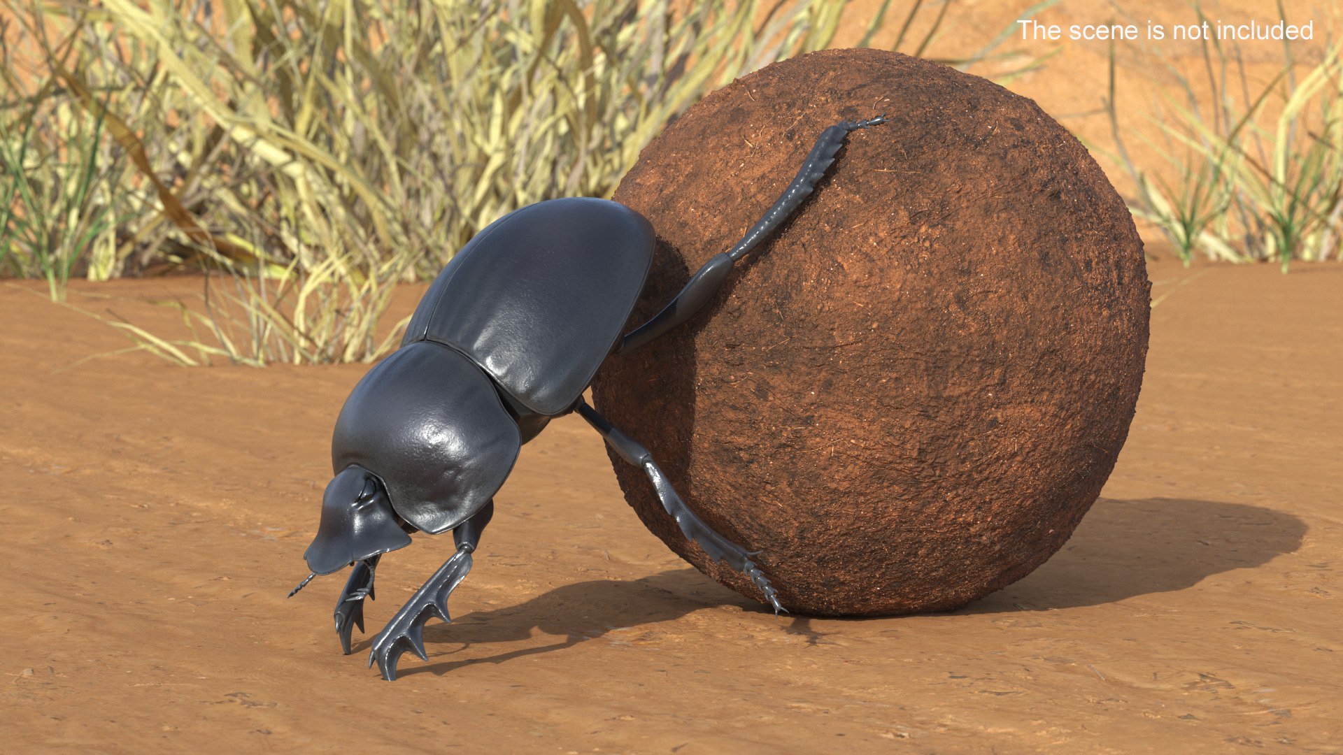 Manure Roller Pushing Sphere 3D Model - TurboSquid 2297406