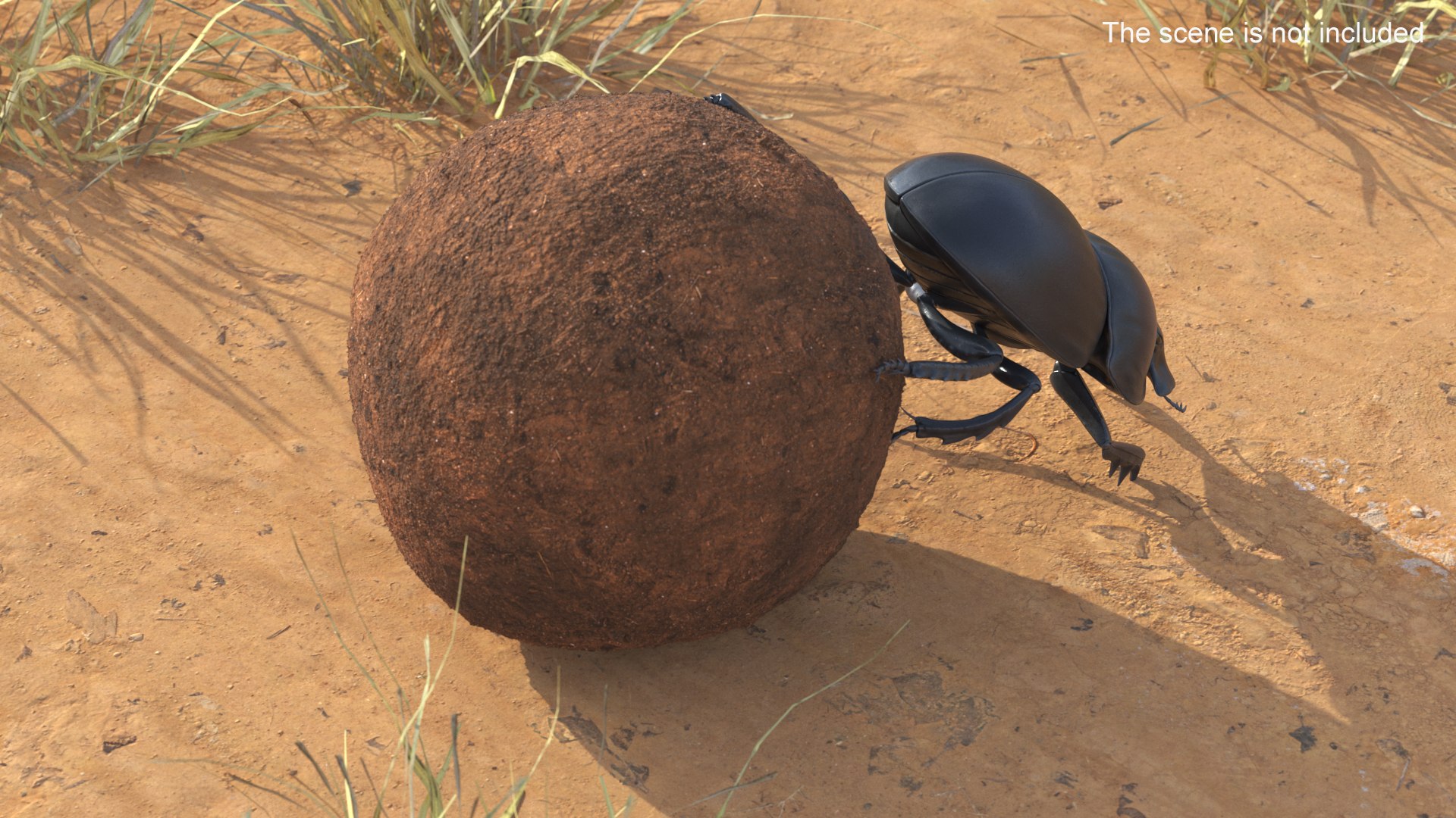 Manure Roller Pushing Sphere 3D Model - TurboSquid 2297406