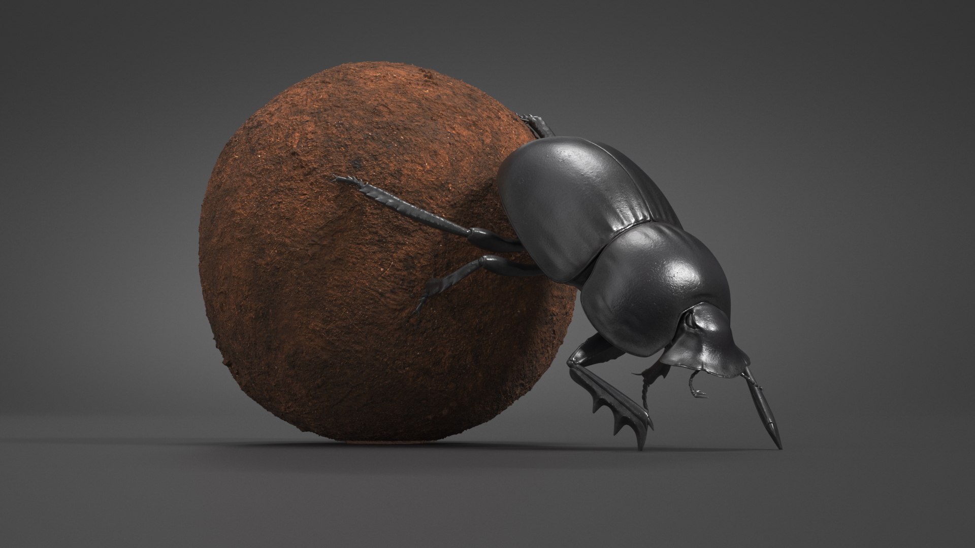 Manure Roller Pushing Sphere 3D Model - TurboSquid 2297406