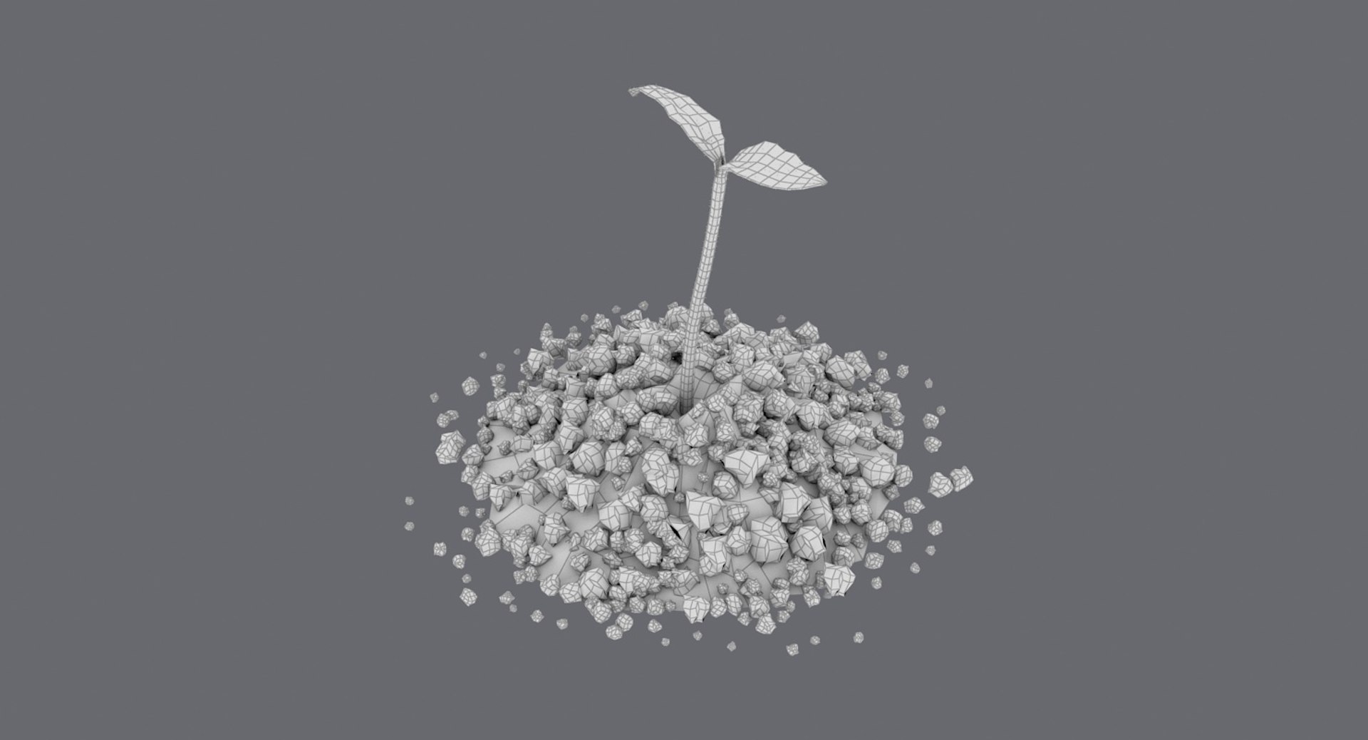 Small Sprout 3d Model
