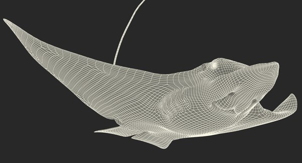 eagle pose 2 3d model