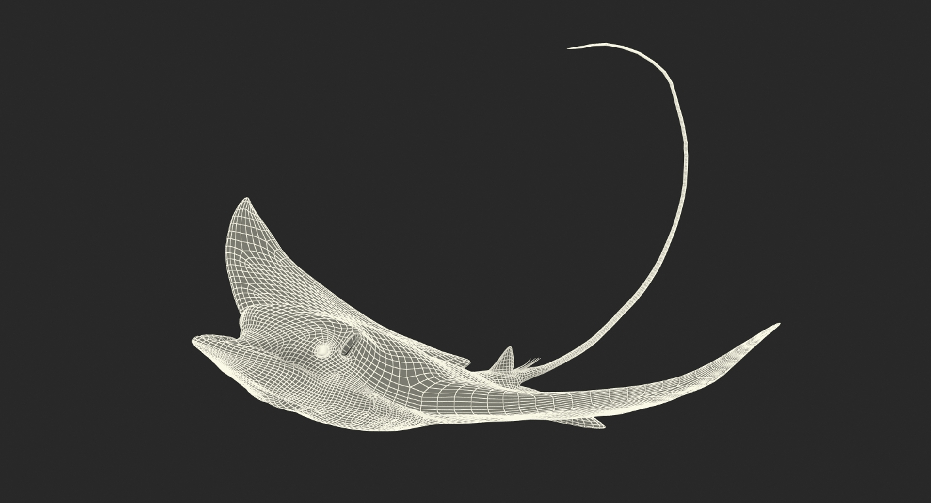 Eagle Pose 2 3d Model