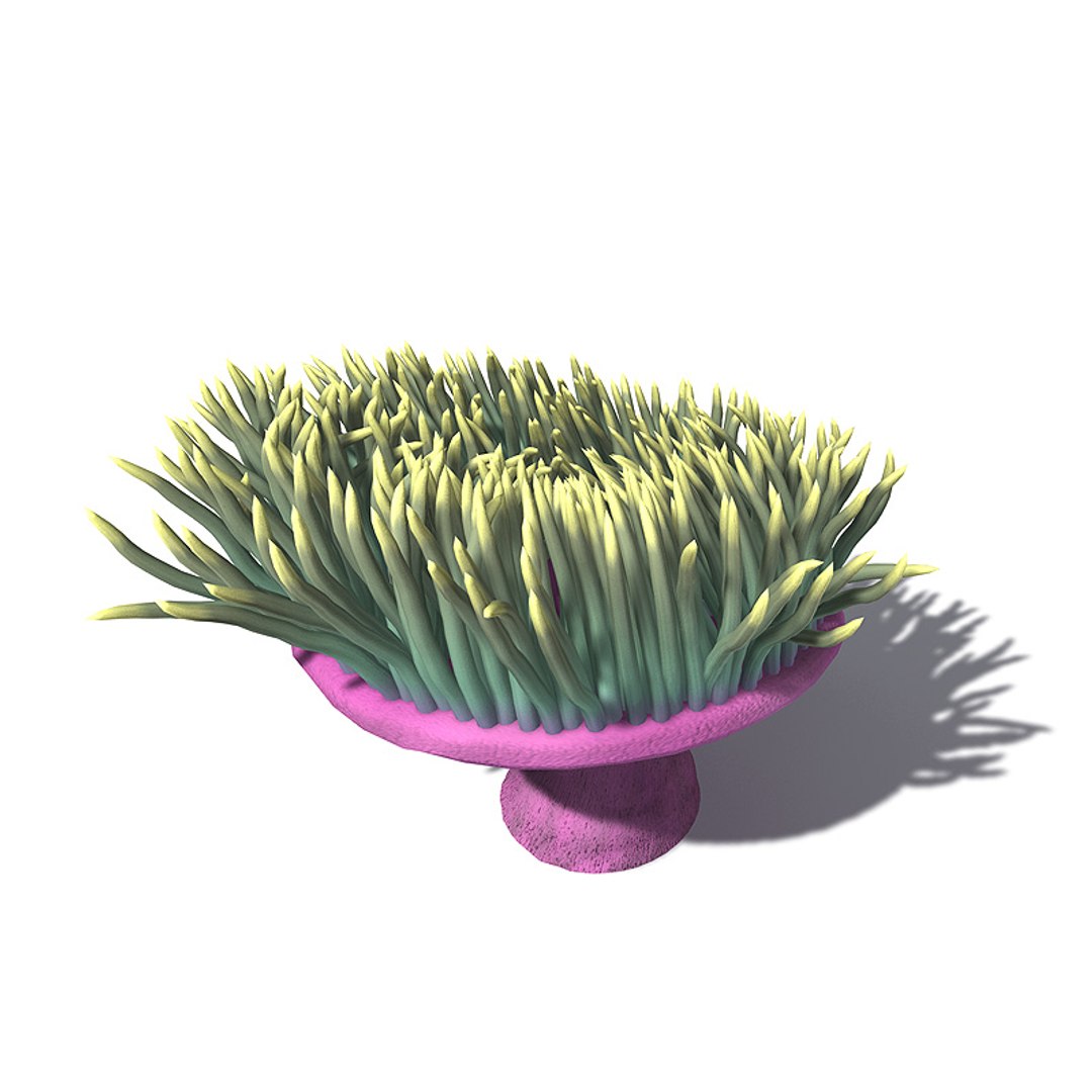 Xfrogplants Magnificent Anemone Animal 3d Max